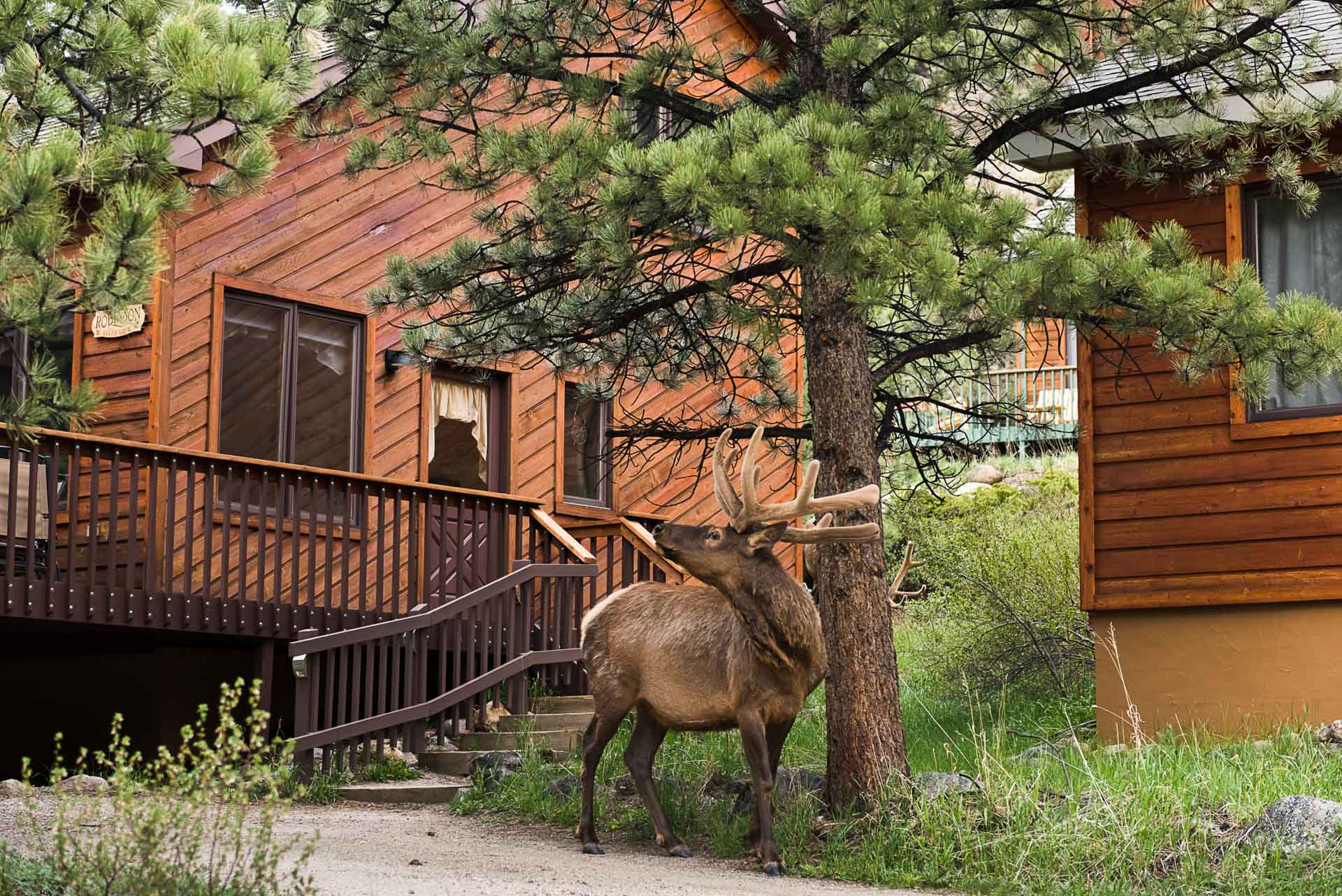 Estes Park Vacation Lodging - An Insider's Guide to Help you Choose