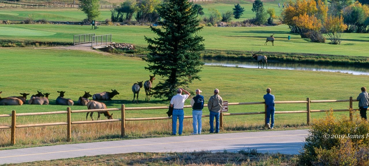 Strolls & Easy Walks | Take it Easy in Estes Park