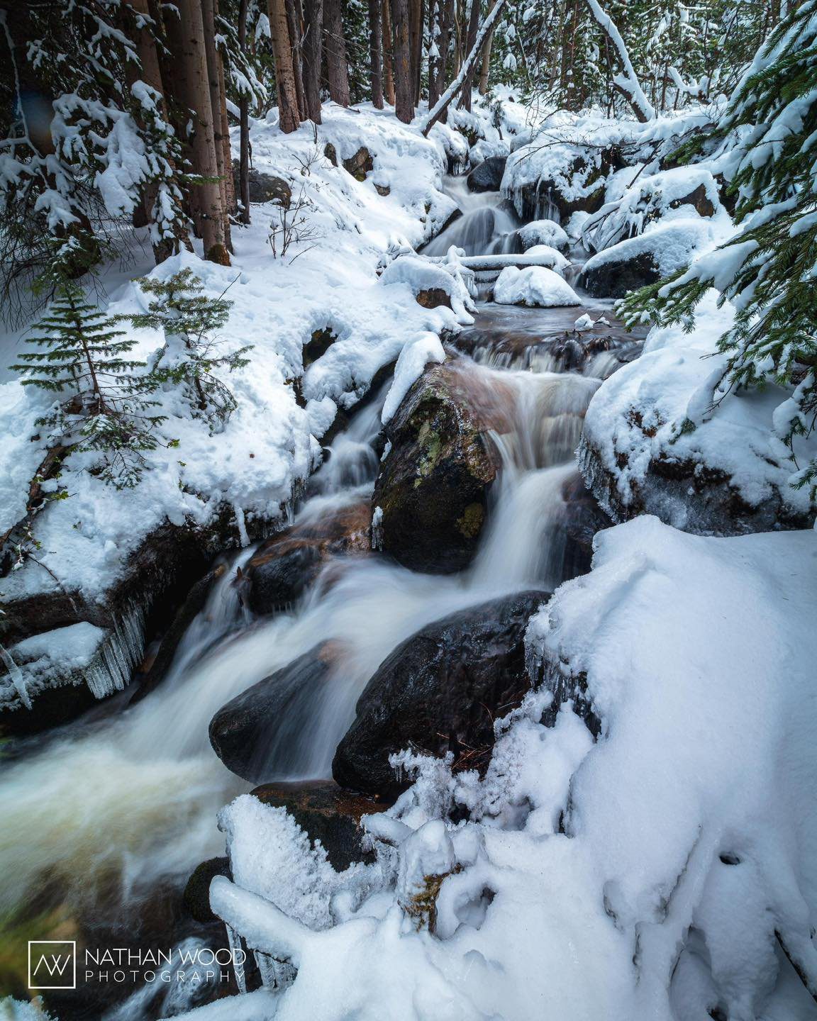 Shopping - Estes Park